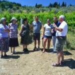 From Florence: Chianti Winery Tour with Lunch - An In-Depth Review of the Experience