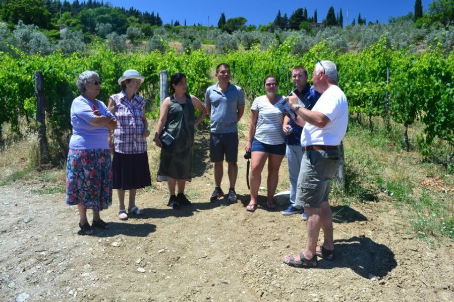 From Florence: Chianti Winery Tour with Lunch - An In-Depth Review of the Experience