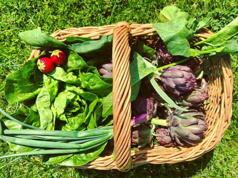 From Florence: Cooking Experience at hilltop farm in Tuscany - What Sets This Tour Apart