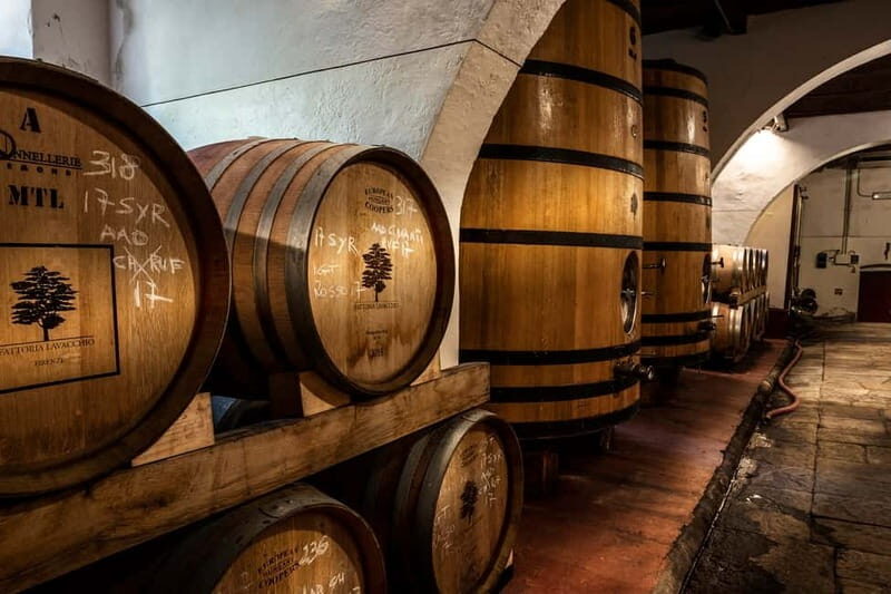 From Florence: Horse Ride and Wine Tour at Estate with Lunch - Why This Tour Works for Different Travelers