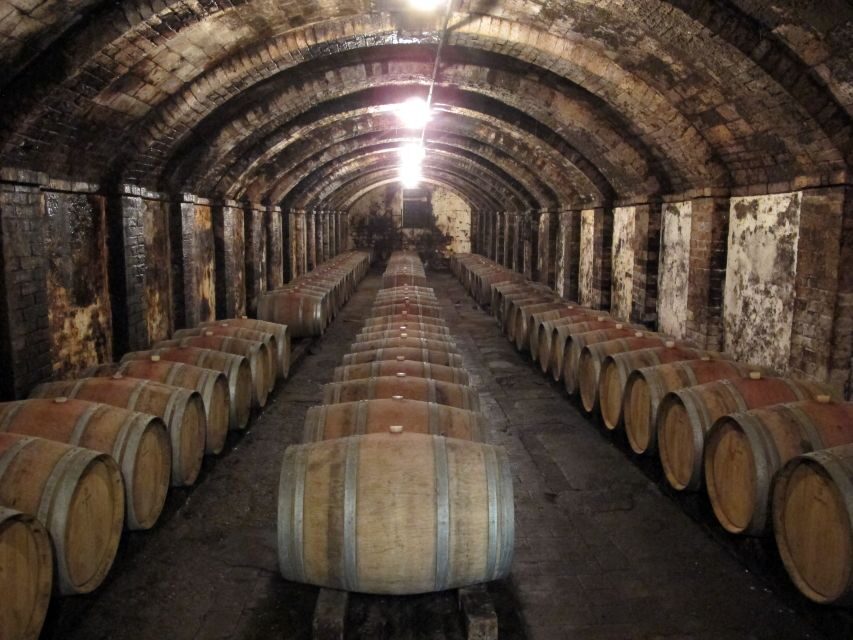 From Florence: Private Wine Tasting Tour in Chianti - An Overview of the Experience