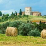 From Florence: Private Wine Tour with Dinner on an Estate - Exploring the Itinerary in Detail
