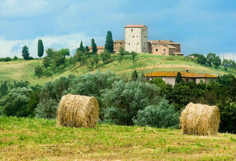 From Florence: Private Wine Tour with Dinner on an Estate - Exploring the Itinerary in Detail