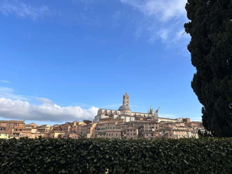 From Florence: San Gimignano, Siena, and Chianti Wine Tour - Logistics and Practical Insights