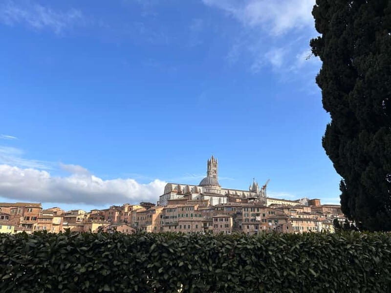 From Florence: San Gimignano, Siena, and Chianti Wine Tour - Logistics and Practical Insights