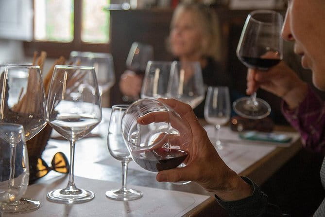 From Florence to Chianti Rufina: Wine Tasting Experience - Key Points