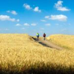 From Florence: Tuscany by E-Bike with Lunch and Wine Tasting - Practical Details and What to Expect