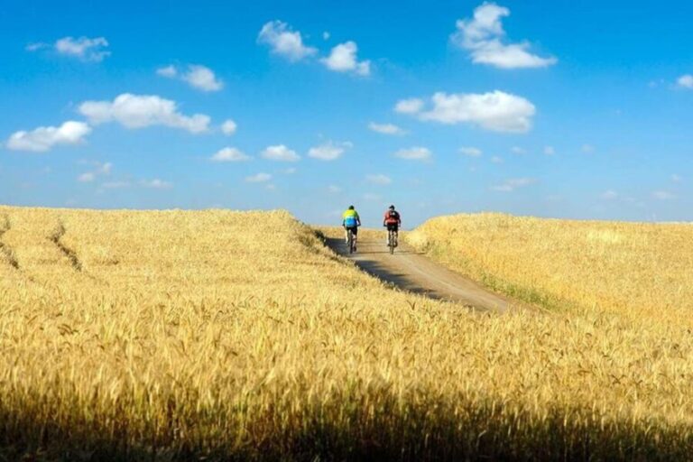 From Florence: Tuscany by E-Bike with Lunch and Wine Tasting - Practical Details and What to Expect