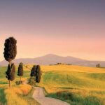 From Florence: Tuscany Hills Wine Tour - Who Will Love This Tour?