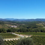 From Florence: Vintage Fiat 500 Chianti & Tuscany Wine Tour - The Drive Through Chianti’s Countryside