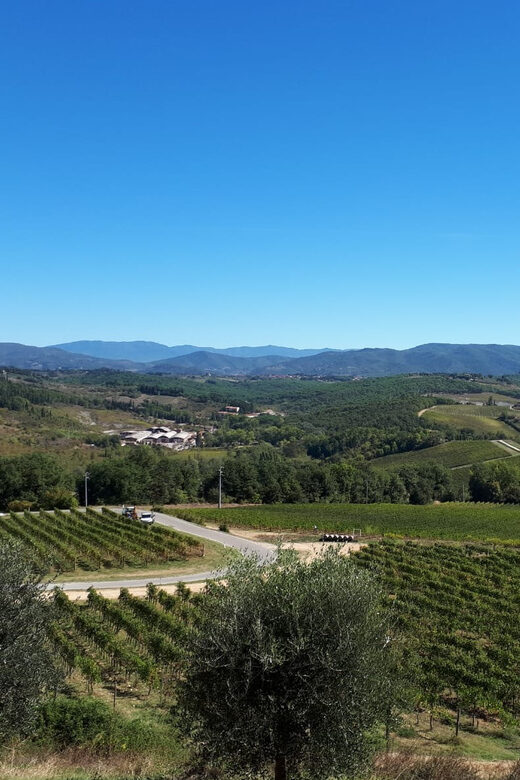 From Florence: Vintage Fiat 500 Chianti & Tuscany Wine Tour - The Drive Through Chianti’s Countryside