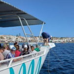 From Fornells: North Coast Beaches Cruise with Swim Stops - Who Should Consider This Tour?