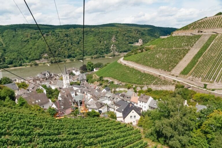 From Frankfurt: Rhine Valley Day Trip - Why This Tour Works Well