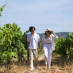 From Fréjus: Van tour to the heart of the Provençal vineyards - Who Will Love This Tour?