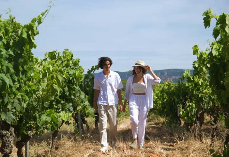 From Fréjus: Van tour to the heart of the Provençal vineyards - Who Will Love This Tour?
