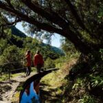 From Funchal/Caniço: Rabaçal Hike (25 Fontes) Bus Transfer - Overall Impressions: Who Will Love This?