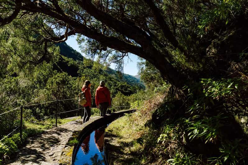 From Funchal/Caniço: Rabaçal Hike (25 Fontes) Bus Transfer - Overall Impressions: Who Will Love This?