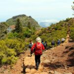 From Funchal: Madeira Peaks Mountain Walk - Transportation and Group Size
