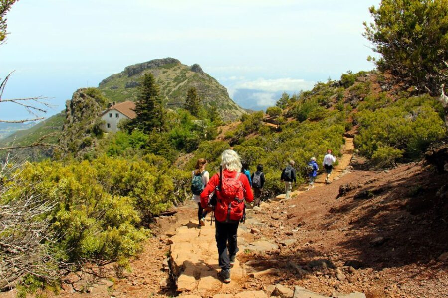 From Funchal: Madeira Peaks Mountain Walk - Transportation and Group Size