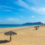 From Funchal: Porto Santo 1-Day Cruise and Tour - The Value of This Experience