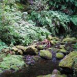 From Funchal: São Jorge Valleys Levada Walk - Why Is This Tour a Good Value?