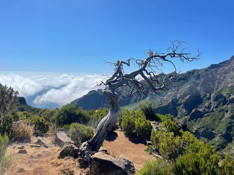 From Funchal: Transfer to Pico do Arieiro Trail - Frequently Asked Questions