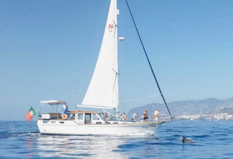 From Funchal: West Bays Sailing Tour with Lunch - Why This Tour Matters for Your Madeira Trip