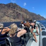 From Funchal: Whale and Dolphin Watching - Key Points You Should Know Before Booking
