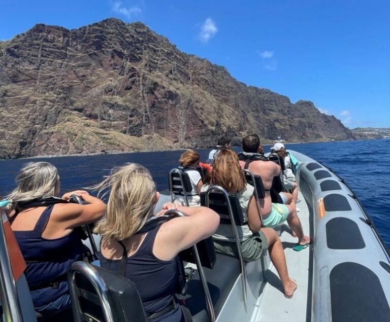 From Funchal: Whale and Dolphin Watching - Key Points You Should Know Before Booking