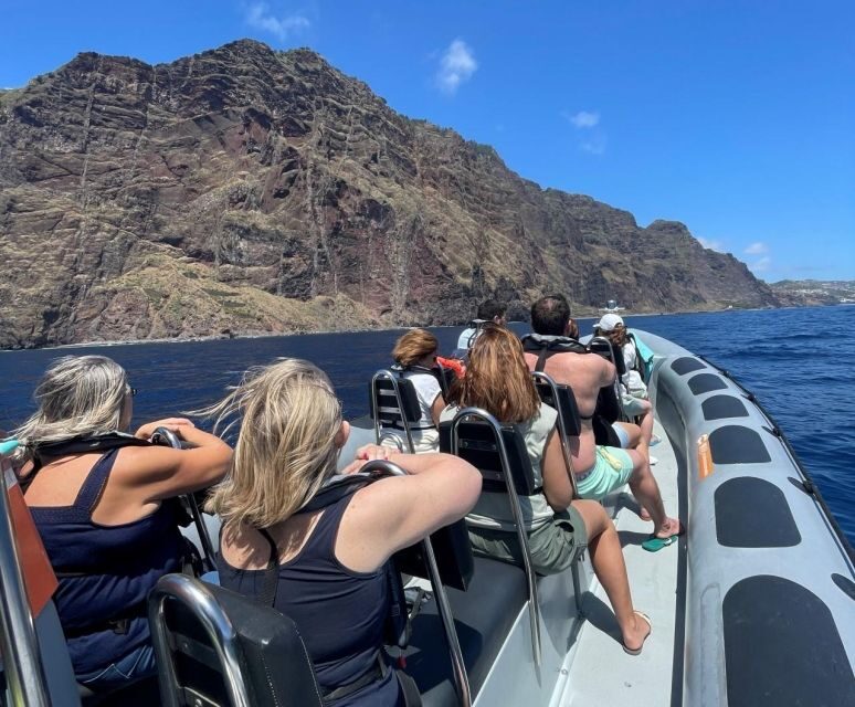 From Funchal: Whale and Dolphin Watching - Key Points You Should Know Before Booking
