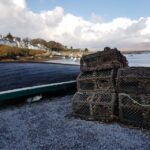 From Galway: Connemara and Kylemore Abbey Day Tour - An Overview of the Experience: Seeing Ireland’s Wild West in a Day