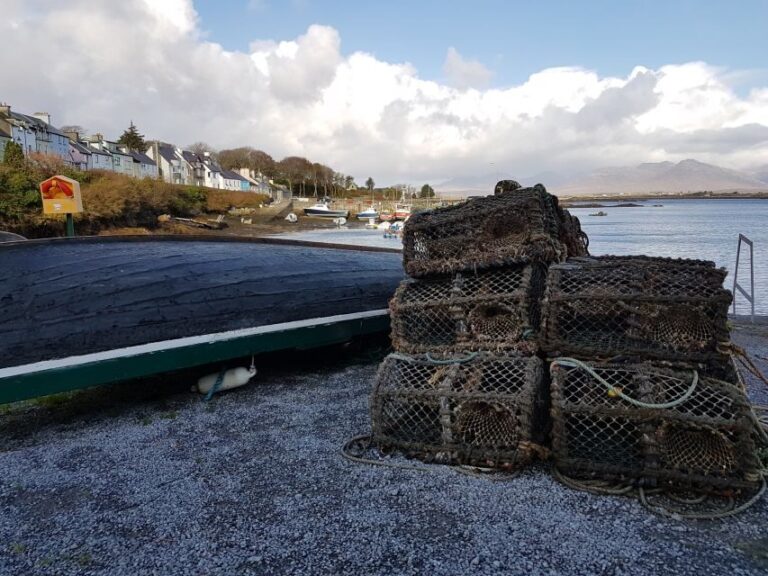 From Galway: Connemara and Kylemore Abbey Day Tour - An Overview of the Experience: Seeing Ireland’s Wild West in a Day
