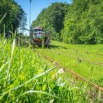 From Gdansk: Elblag Canal Boat Cruise - Exploring the Elblag Canal: A Marvel of Hydro-Engineering