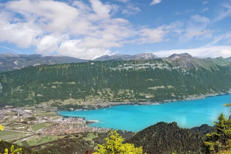 From Geneva: Full-Day Trip to Interlaken - Why This Tour Works Well for Travelers