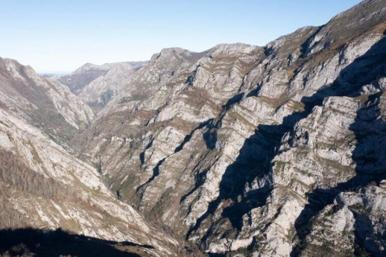 From Gijón or Oviedo: Ponga Natural Park Day Trip - The Value of This Tour