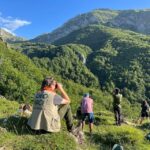 From Gijón, Oviedo or Pola de Somiedo: Brown Bear Spotting - What Participants Say