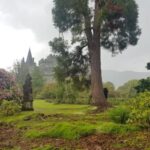 From Glasgow: Scotland Sightseeing Tour Shore Excursion - Detailed Breakdown of the Tour Experience