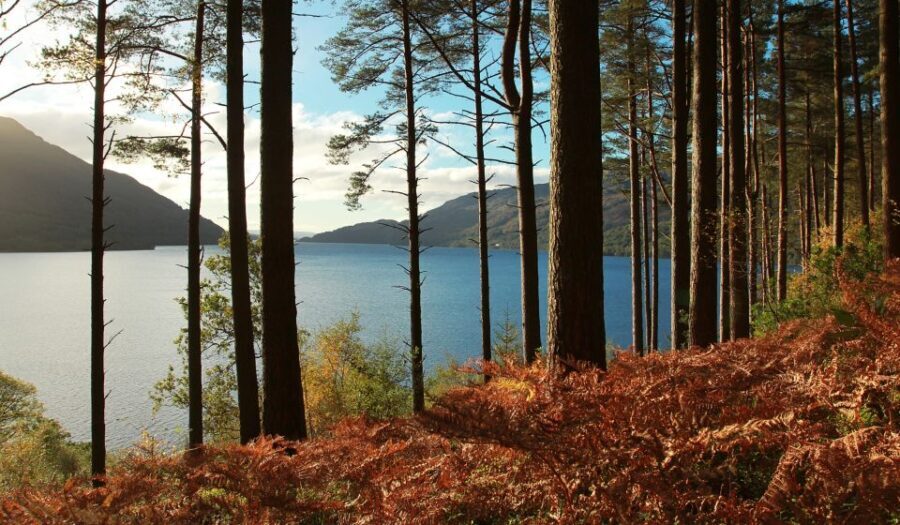 From Glasgow: Stirling Castle & Loch Lomond Tour with Cruise - Practical Aspects and What Travelers Can Expect