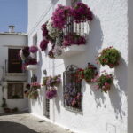 From Granada: Alpujarra Mountain Villages Tour - Why Travelers Love This Tour