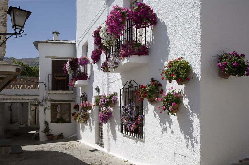 From Granada: Alpujarra Mountain Villages Tour - Why Travelers Love This Tour