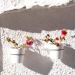 From Granada: Alpujarra Region Full Day Tour - Practical Details and Tips