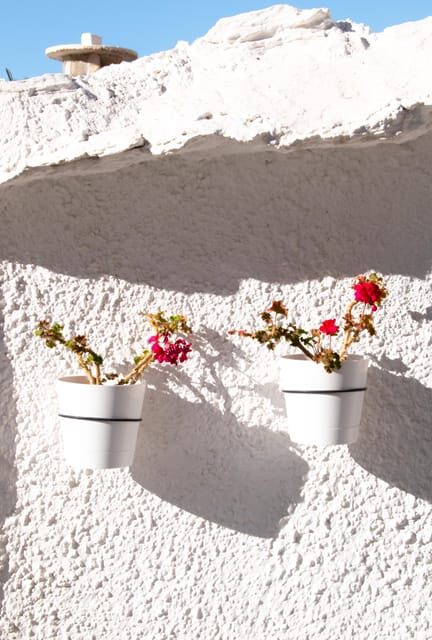 From Granada: Alpujarra Region Full Day Tour - Practical Details and Tips