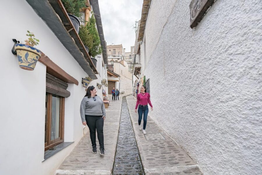 From Granada: Alpujarra Villages Guided Day Tour - The Value of This Tour