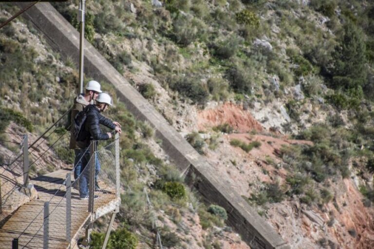 From Granada: Caminito Del Rey Day Trip - Transport and Logistics: Making It Easy