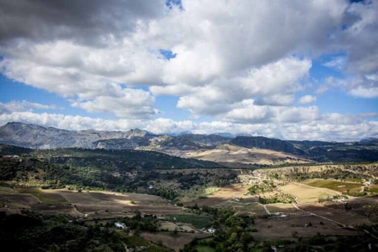 From Granada: Ronda Guided Tour - The Experience for Different Types of Travelers