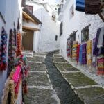 From Granada: Sierra Nevada & Alpujarra Private Day Trip - The Practical Stuff: Logistics and Value