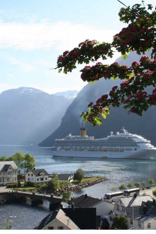 From Hellesylt: The Best of Geiranger Shore Excursion - Transportation and Group Size