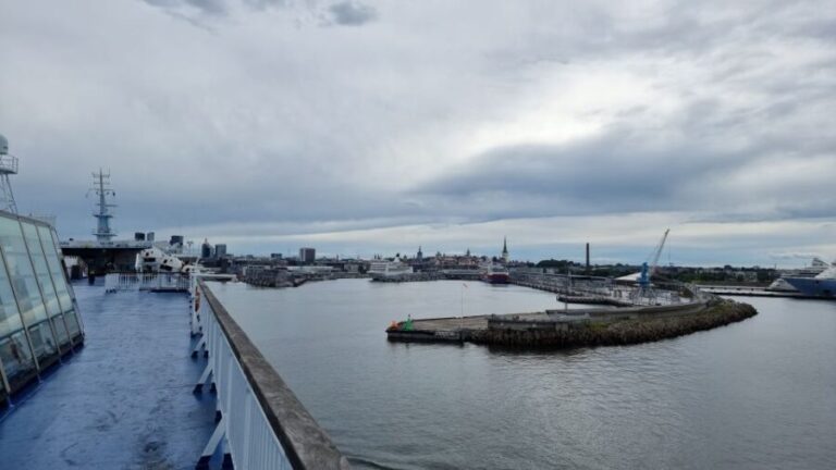 From Helsinki: Guided Day Trip to Tallinn by Ferry & VIP Car - Who Should Consider This Tour?