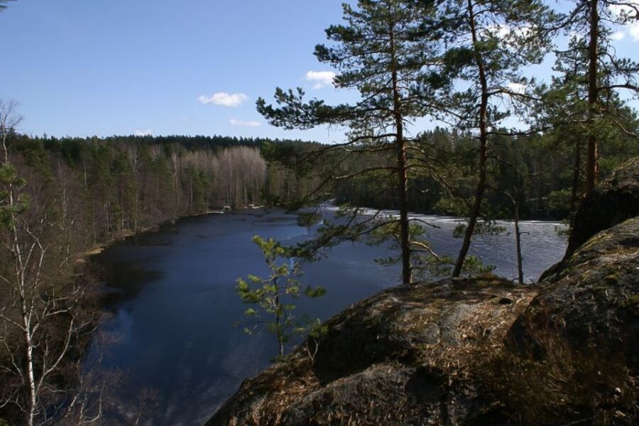 From Helsinki: Nuuksio National Park Half-Day Trip - The Itinerary: A Walk Through Finland’s Green Heart