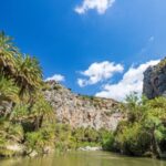 From Heraklion: Preveli Natural Palm Forest & Exotic Beach - What’s the Value?
